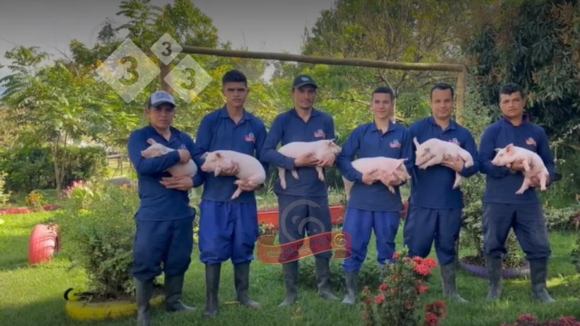 Jamones del Huila: ejemplo de desarrollo y eficiencia en Colombia - Artículos - 3tres3 LATAM, la ...